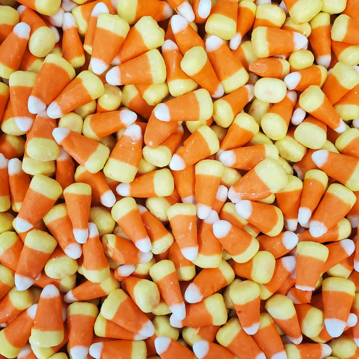 Freeze Dried Candy Corn – Sweets and Geeks