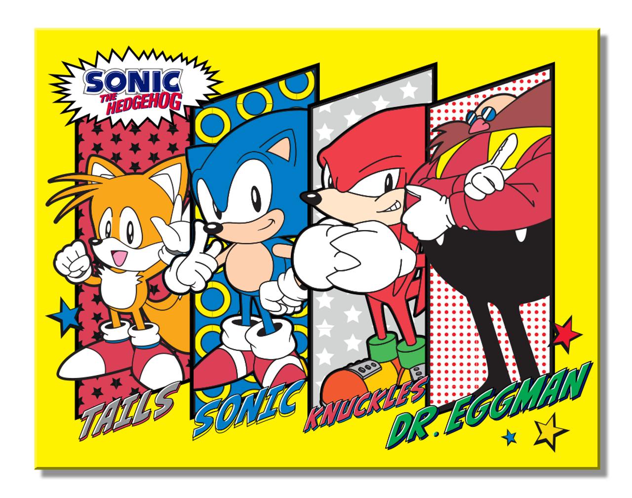 Sonic Panels Metal Sign – Sweets and Geeks
